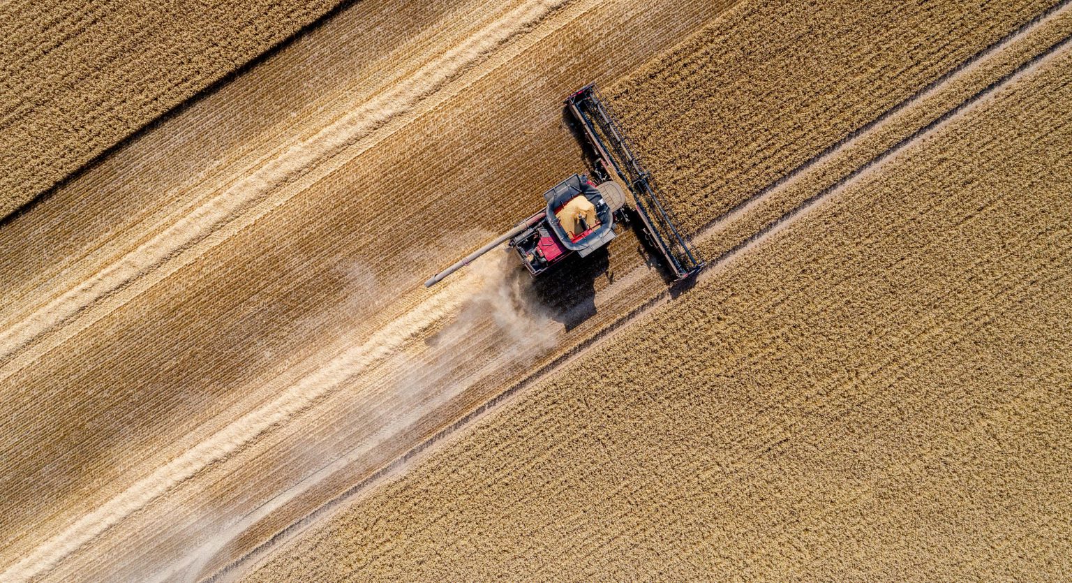 Sustainable Farming in Norfolk | Raynham Estate Agriculture