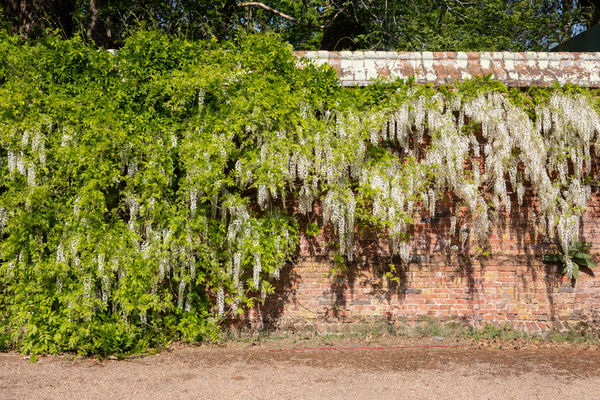 The Hall - Norfolk Glamping Raynham